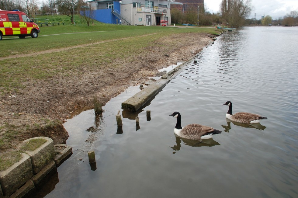 River bank protection on the River Thames - Cain Bio-engineering
