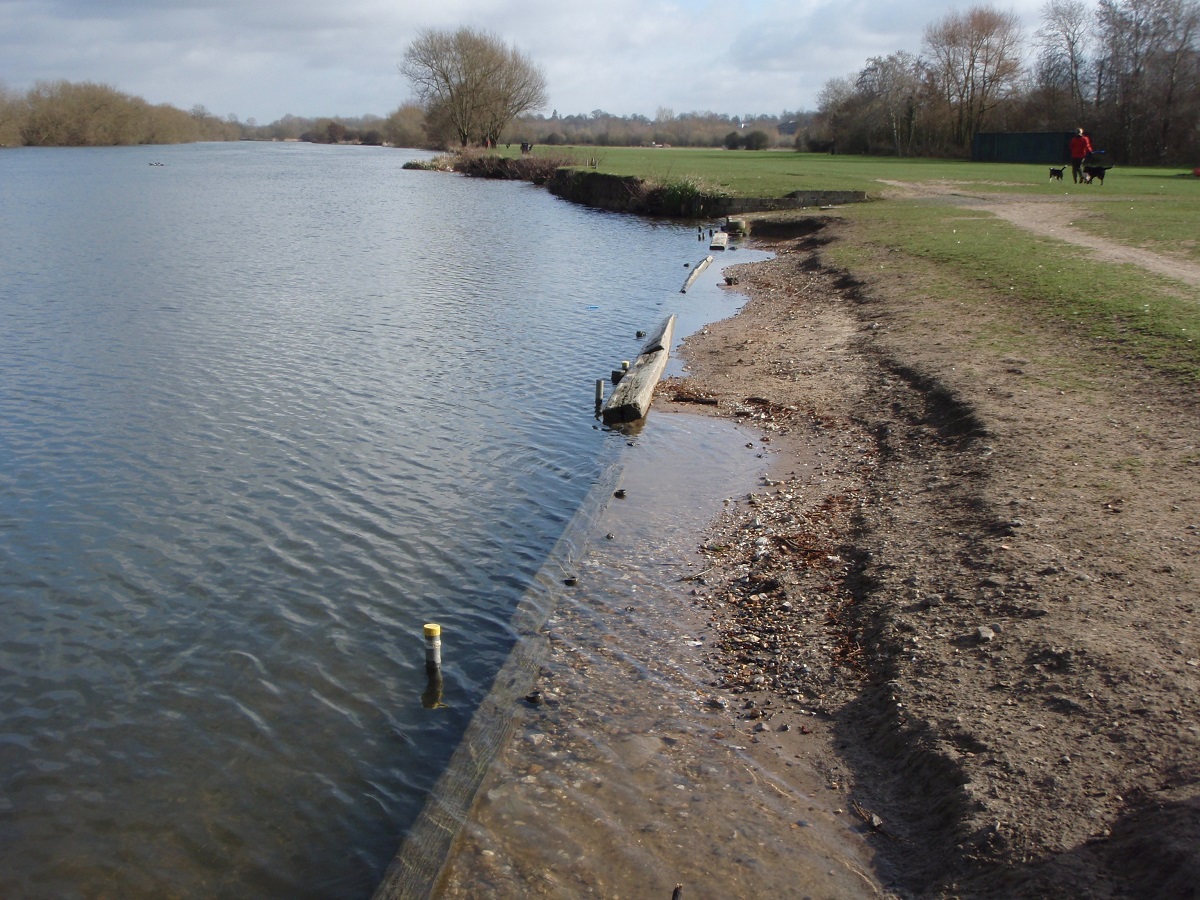 River bank protection on the River Thames - Cain Bio-engineering