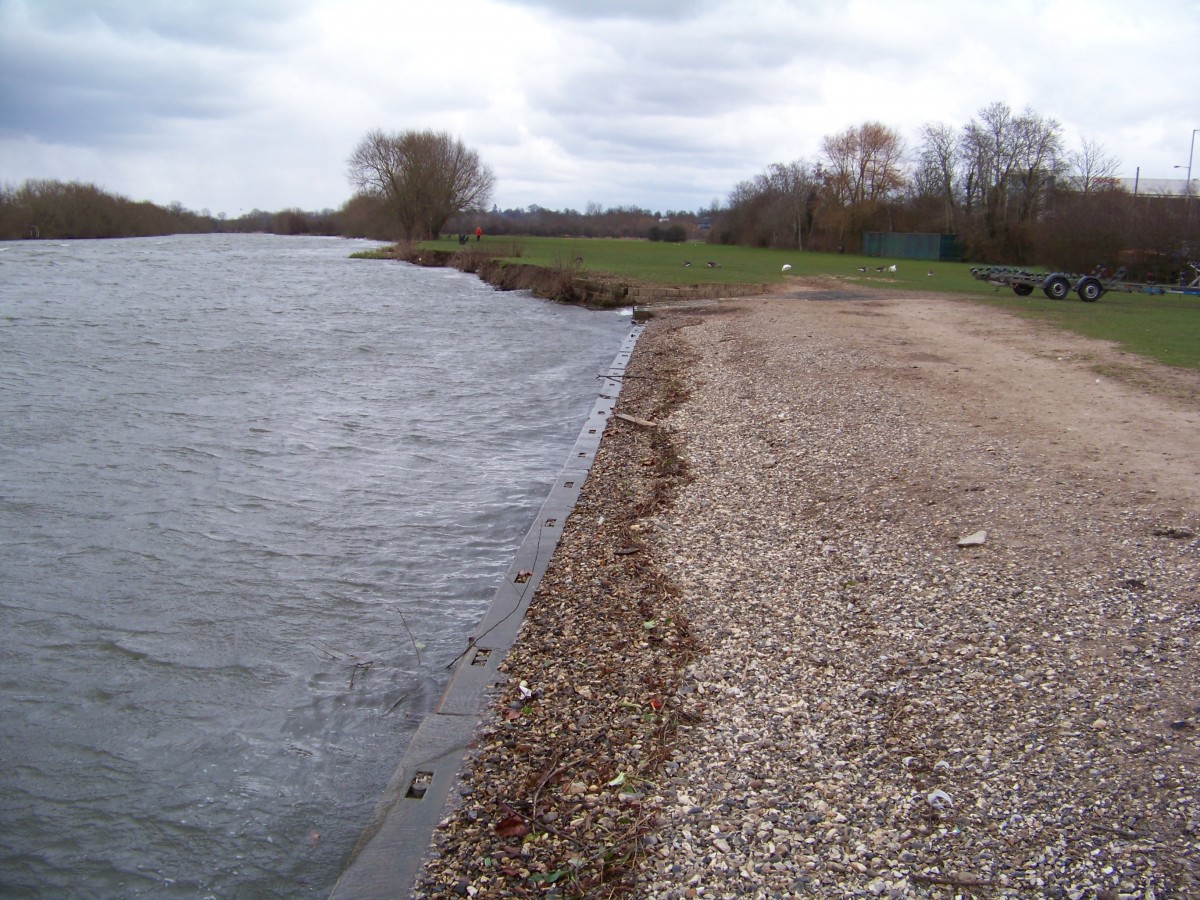 River bank protection on the River Thames - Cain Bio-engineering