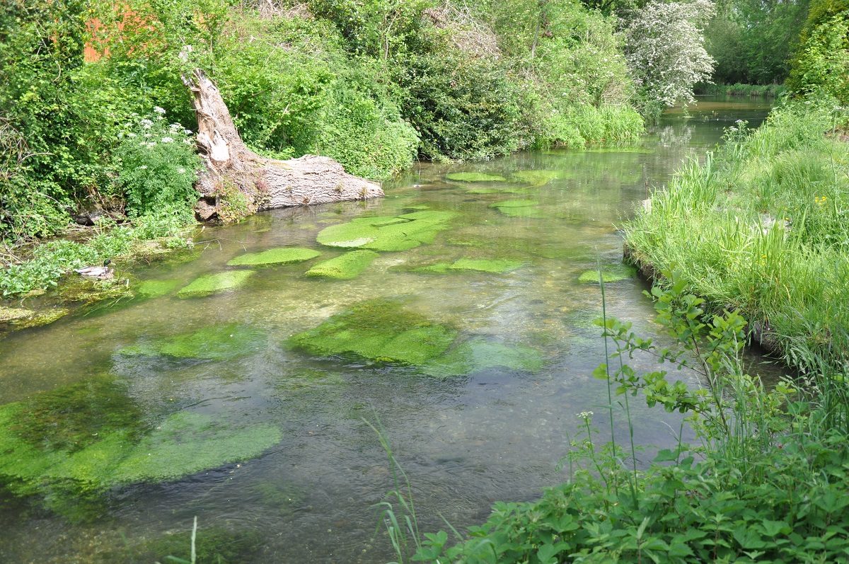 River restoration Archives - Cain Bio Engineering