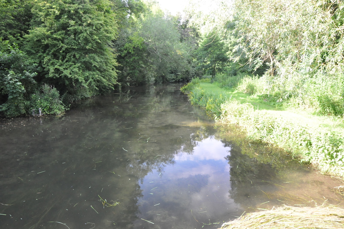 River Test - Bossington Test reborn, Feature 1 - Cain Bio Engineering