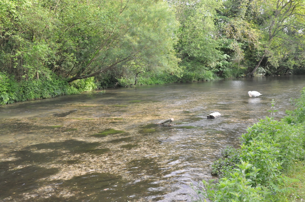 River Test - Bossington Test reborn, Feature 2 - Cain Bio Engineering