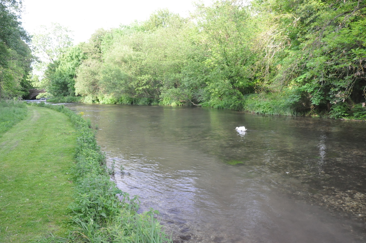 River Test - Bossington Test reborn, Feature 2 - Cain Bio Engineering