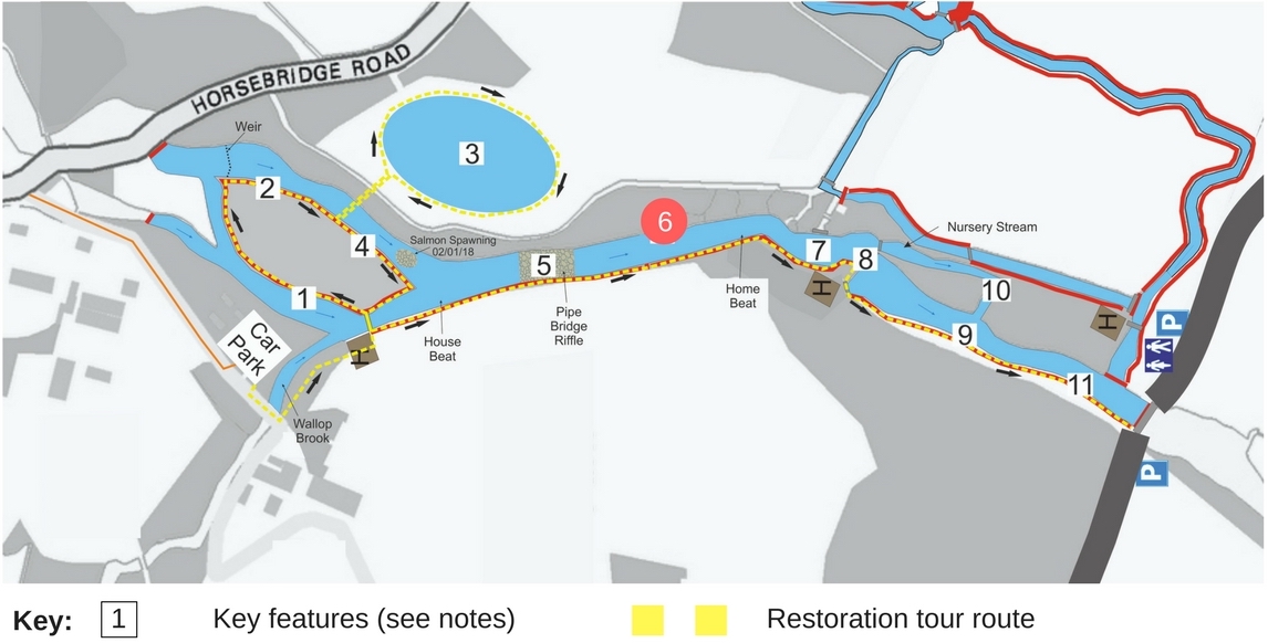 River Test - Bossington Test reborn, Feature 6 - Cain Bio Engineering