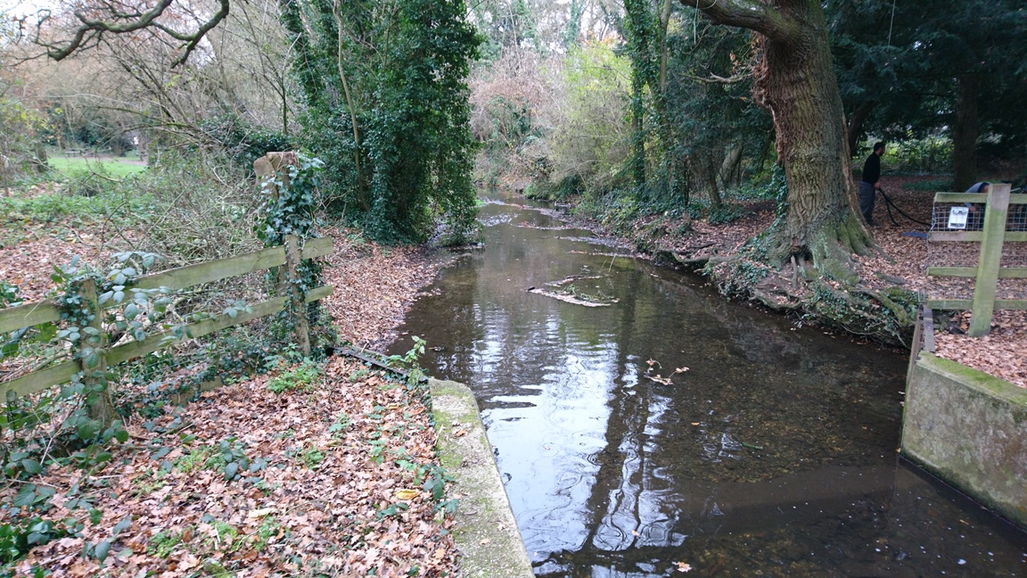 River Misbourne - Habitat enhancement - Cain Bio Engineering
