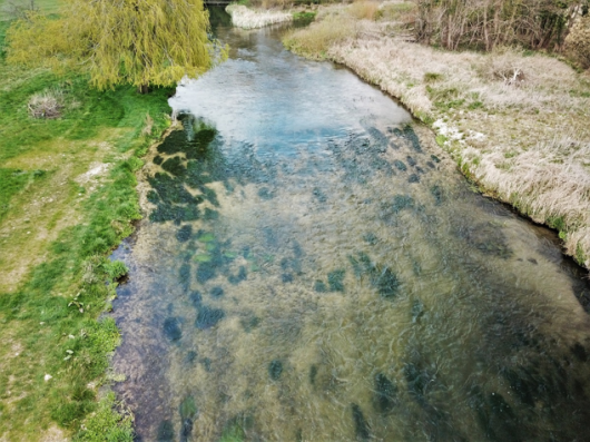 Client Area - Cain Bio Engineering