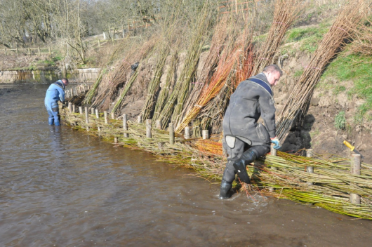 River Tame - Design and erosion control - Cain Bio Engineering