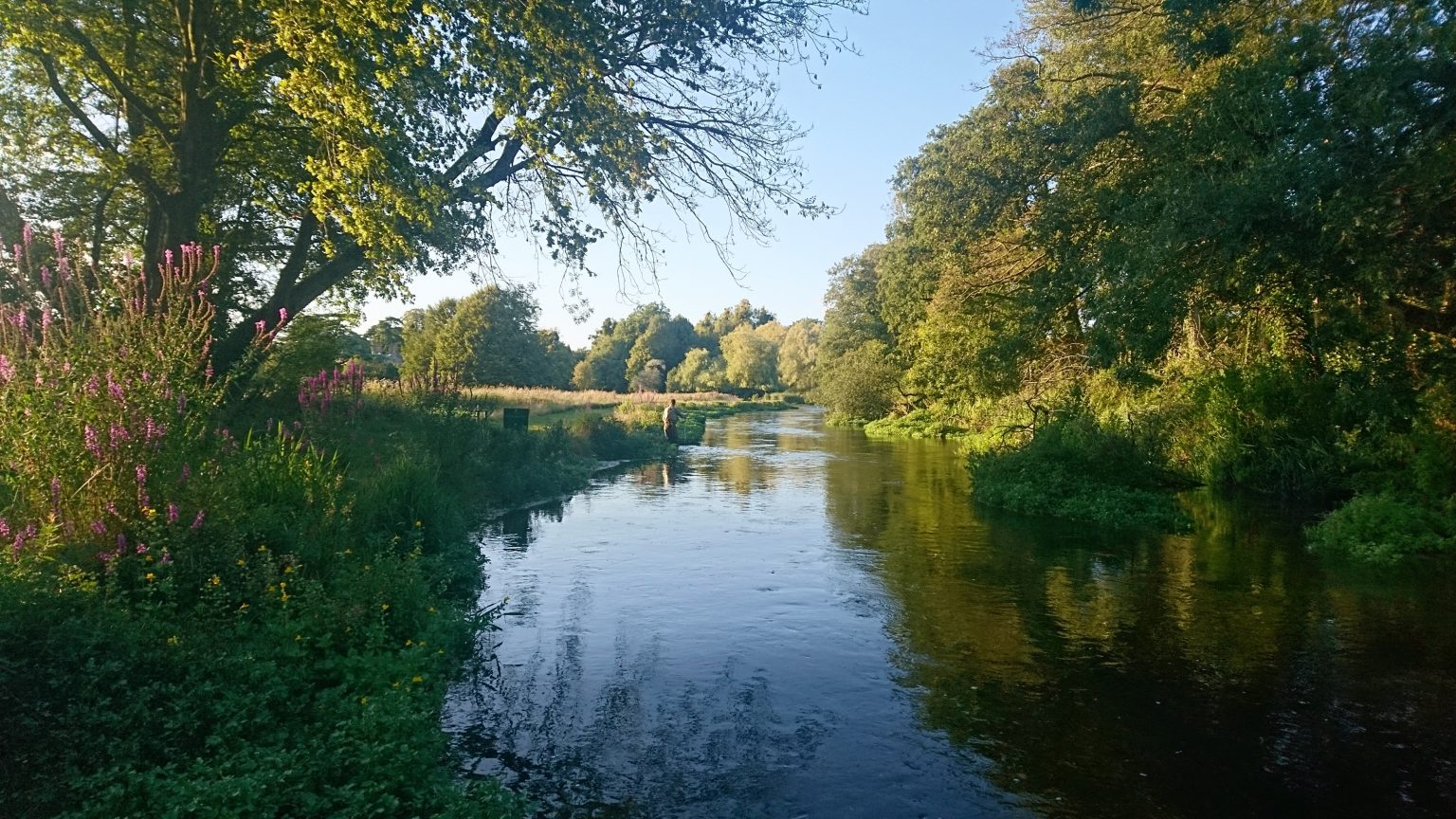 Bossington Revisited - Cain Bio Engineering