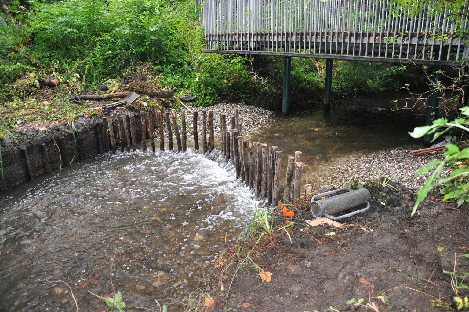 River Wandle - Weir removal and habitat restoration - Cain Bio Engineering