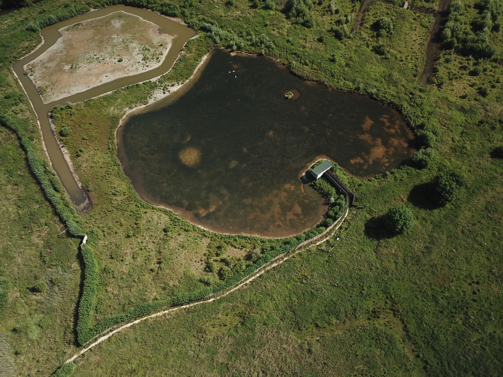 Langford Lakes Nature Reserve, Wetland Enhancement Project (Summer 2020)