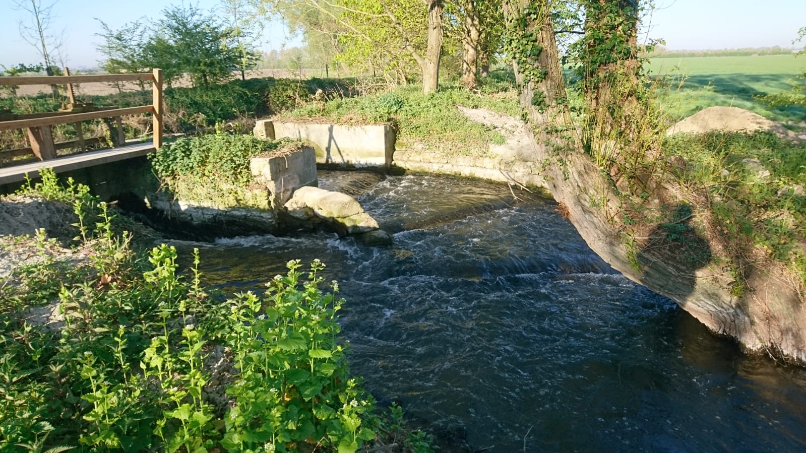 Fish Passage - Cain Bio Engineering
