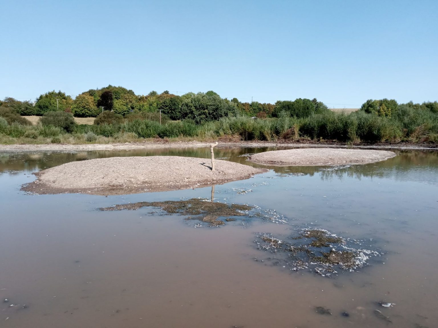 Langford Lakes Nature Reserve, Wetland Enhancement Project (Summer 2020)