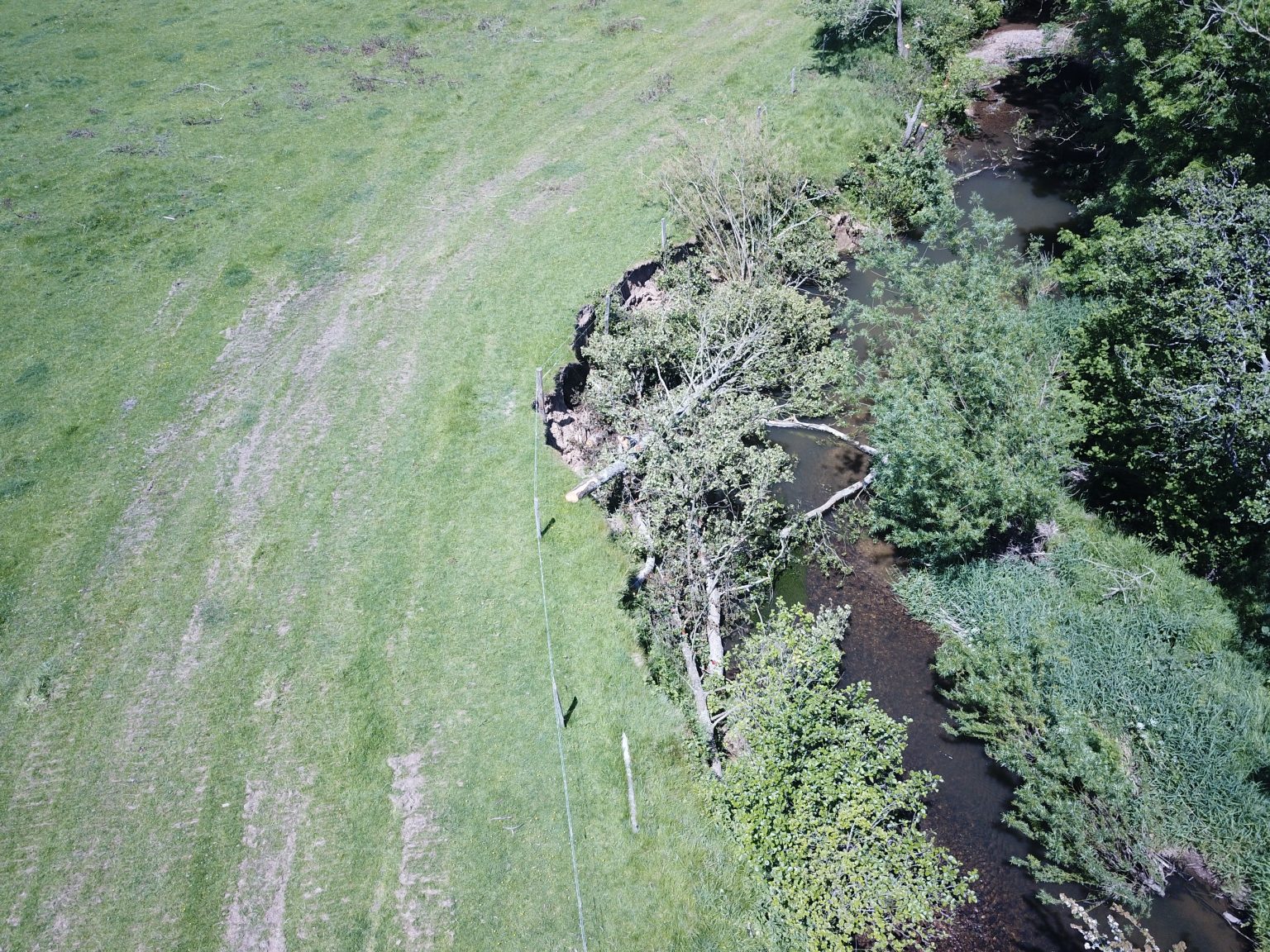 River Axe - erosion stabilisation - Cain Bio Engineering