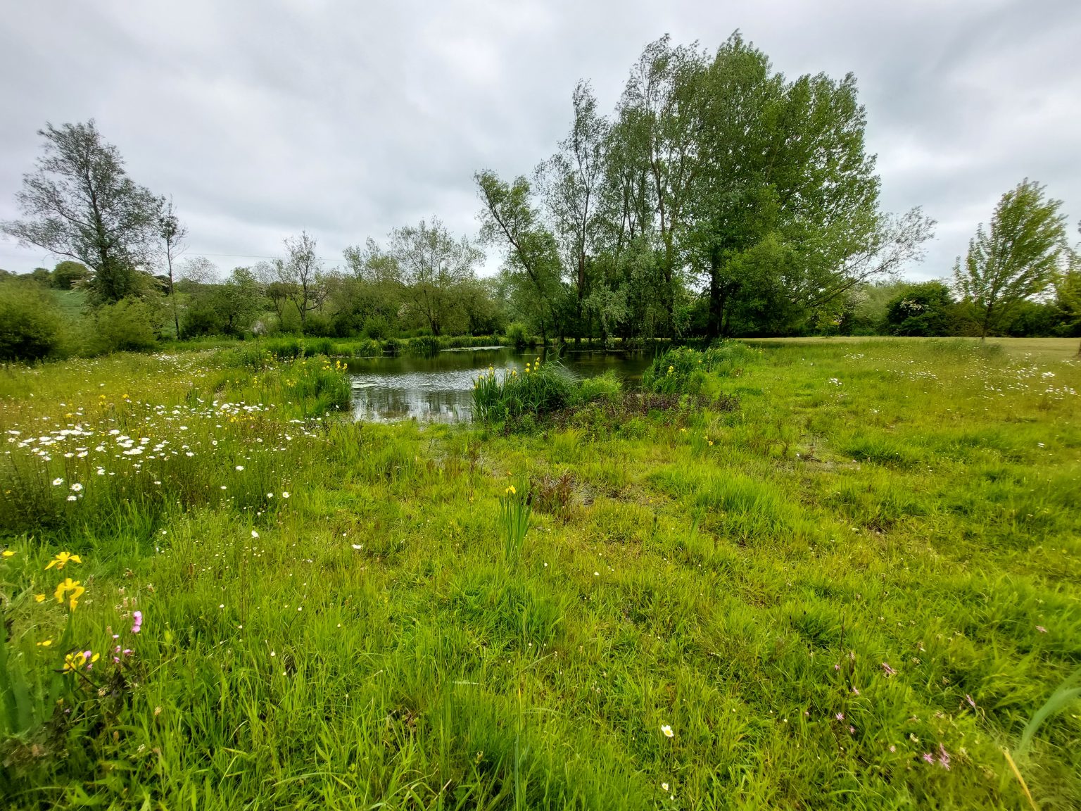 Cain Bio-Engineering - River restoration specialist