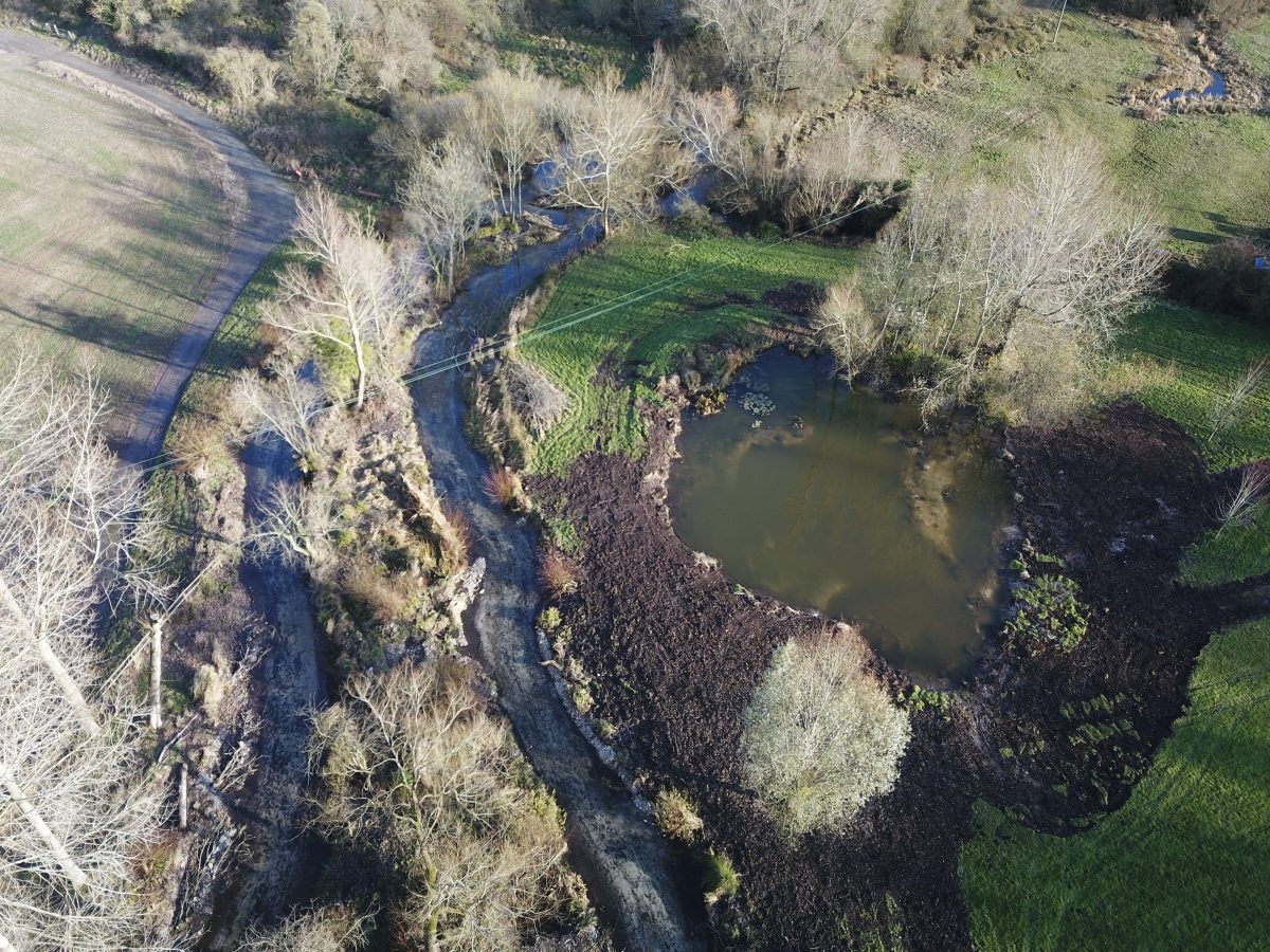 River Lambourn at East Shefford Mill leat - Cain Bio Engineering