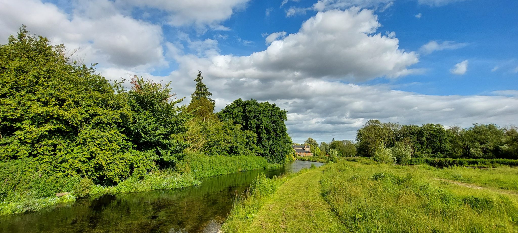 Cain Bio-Engineering - River restoration specialist