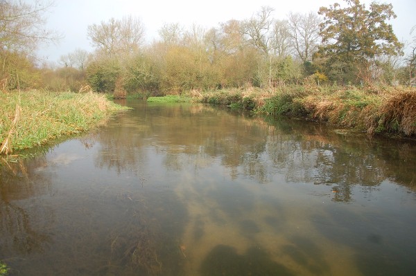 River Avon - Design and river restoration - Cain Bio Engineering