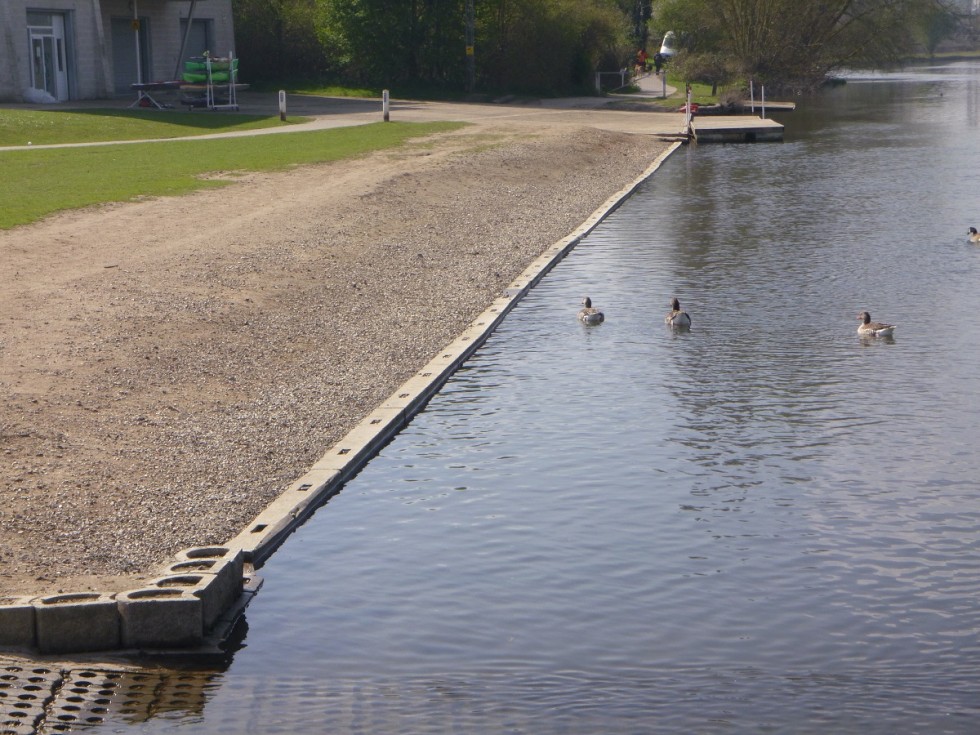 River bank protection on the River Thames - Cain Bio-engineering