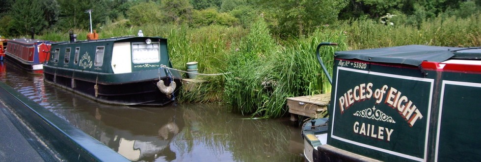 Canal Construction and Repair - Cain Bio Engineering