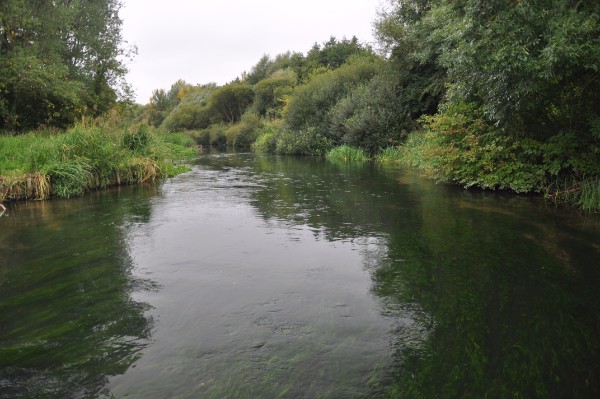 River Avon - Design and river restoration - Cain Bio Engineering