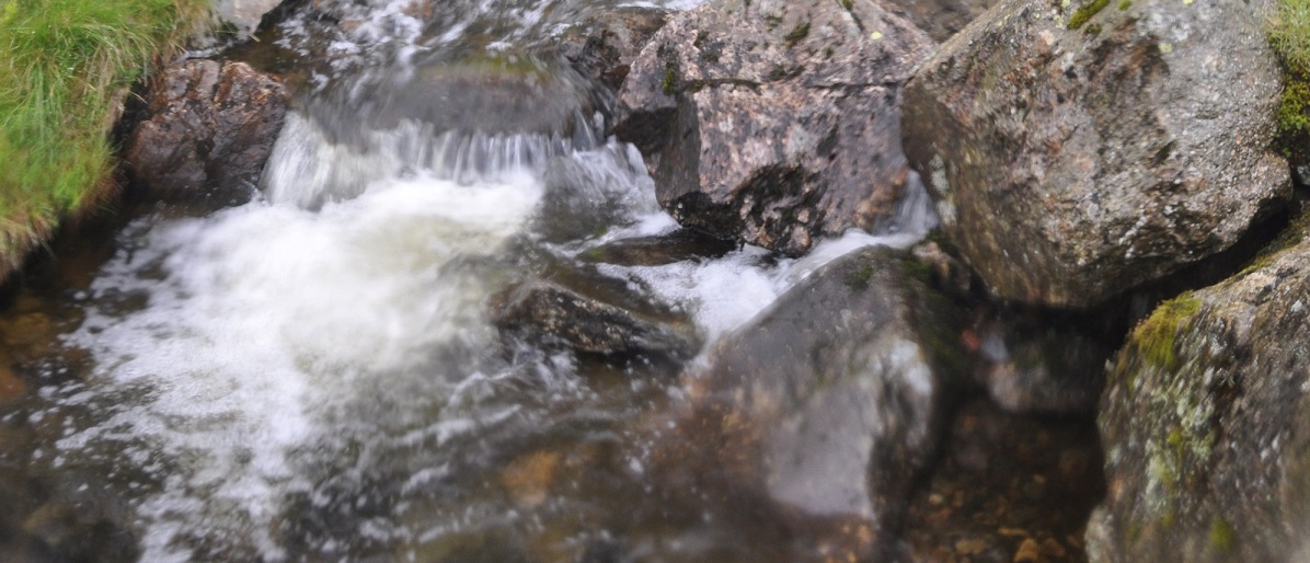 Rivers - Cain Bio Engineering