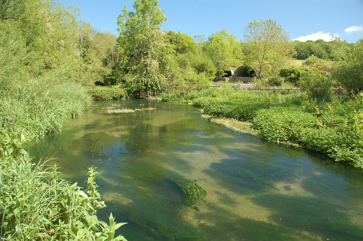 River restoration - Cain Bio Engineering