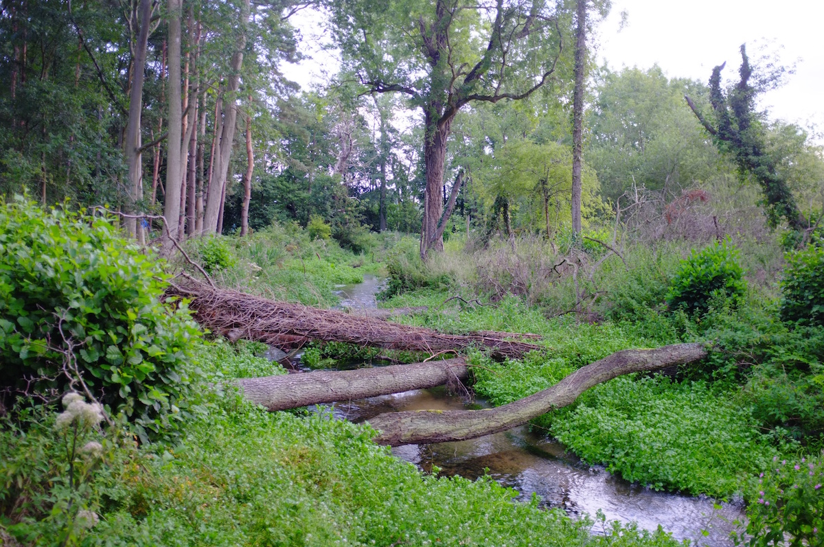 River restoration on the River Nar - Cain Bio-engineering