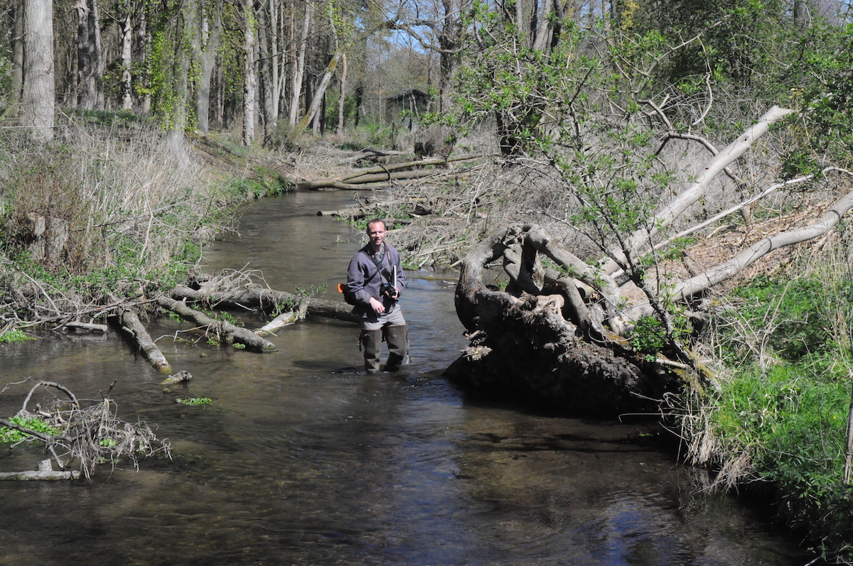 River restoration on the River Nar - Cain Bio-engineering