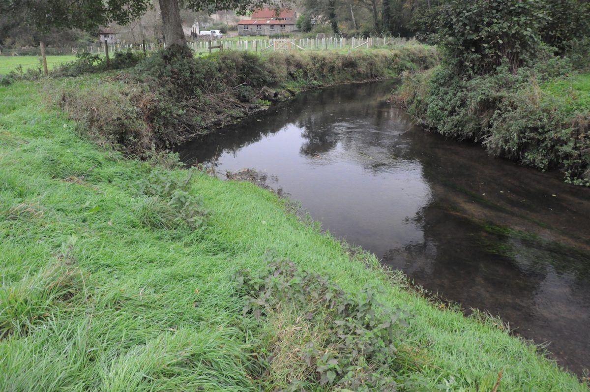 River Nadder Restoration at Sutton Mandeville | Cain Bio-Engineering