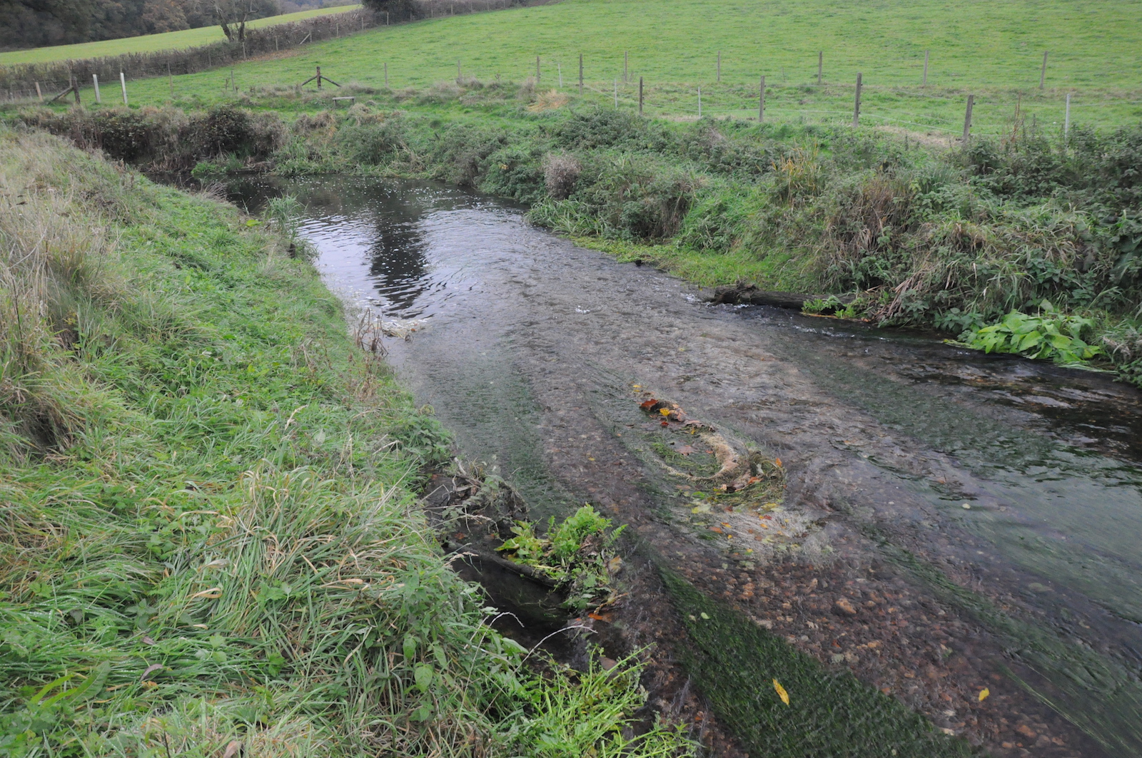 River Nadder Restoration at Sutton Mandeville | Cain Bio-Engineering