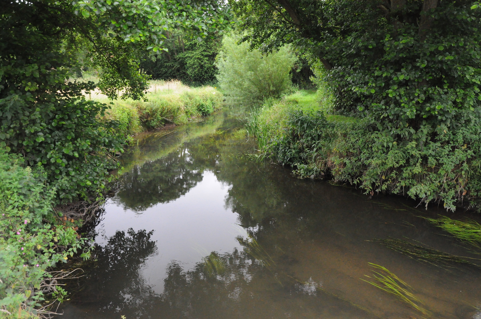 River Nadder Restoration at Sutton Mandeville | Cain Bio-Engineering