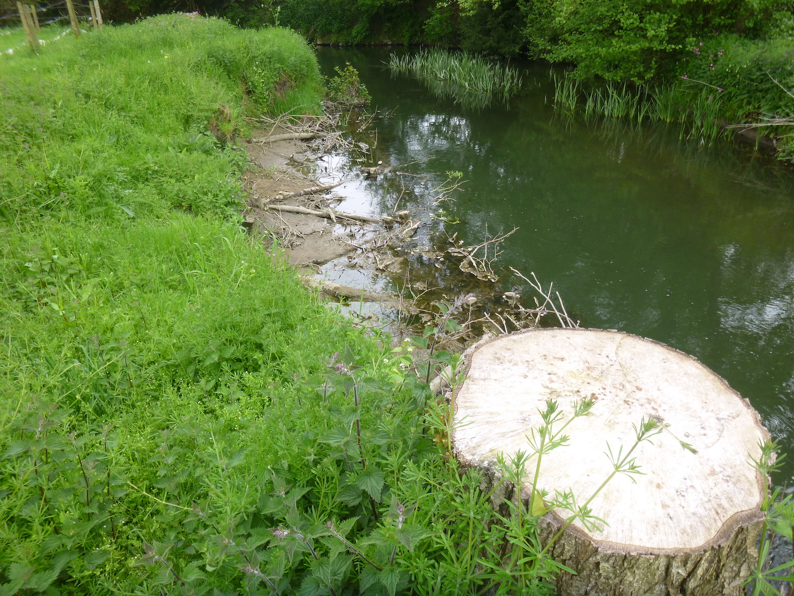 River Nadder Restoration at Sutton Mandeville | Cain Bio-Engineering