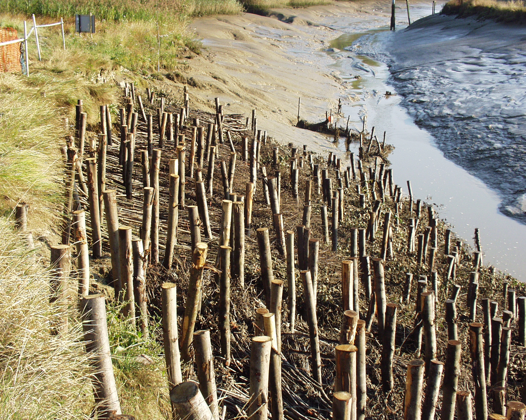 River Rother, Scots Float - Inter-tidal brushwood mattress - Cain Bio ...