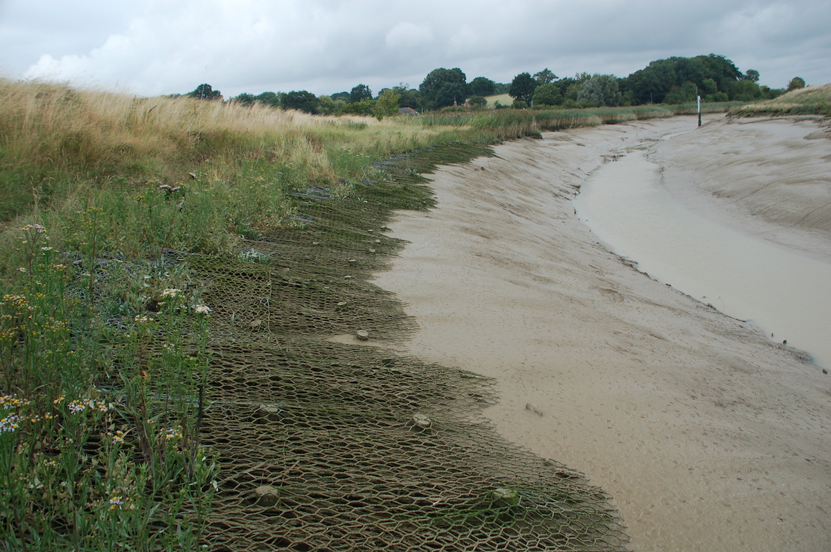 Inter-tidal bank stabilisation - Cain Bio-engineering
